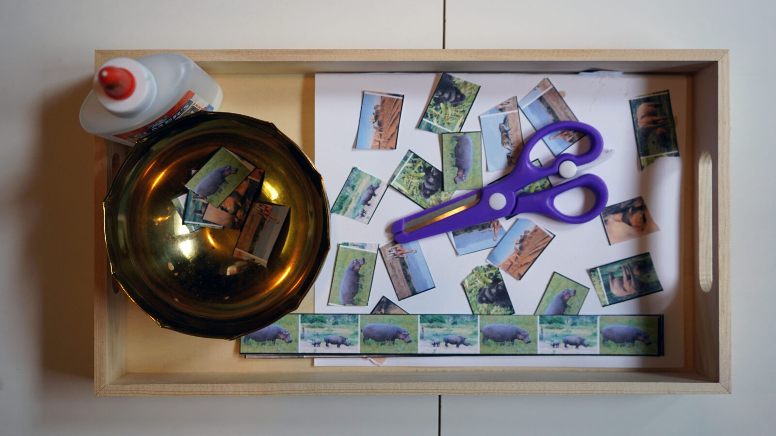 Continents of the World | Montessori Inspired Activities - All of Our Homes