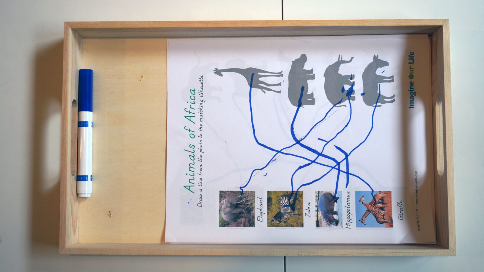 Continents of the World | Montessori Inspired Activities - All of Our Homes